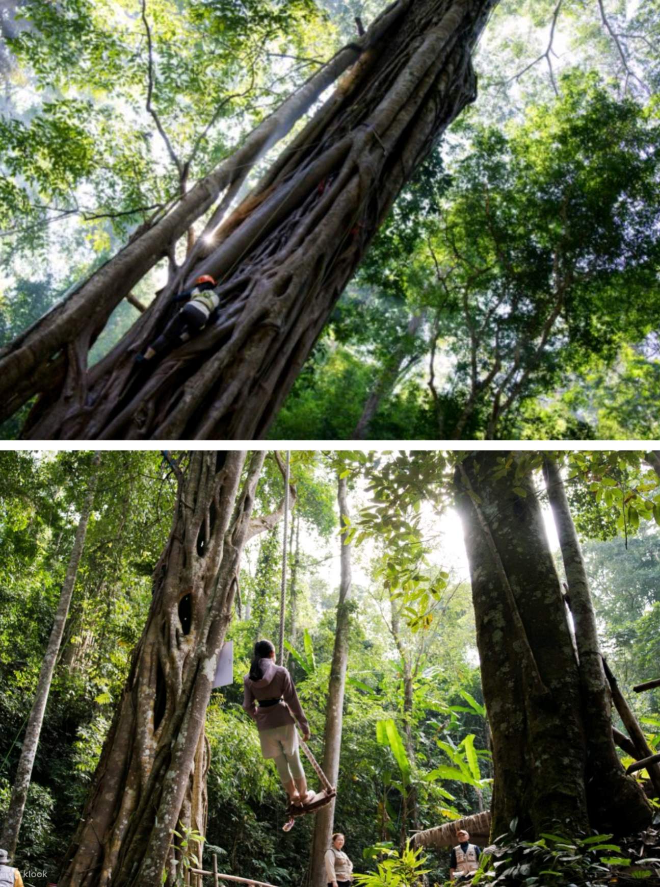 [Private Customized Tour] Yunnan·Senye Banna (stay at Anantara ...